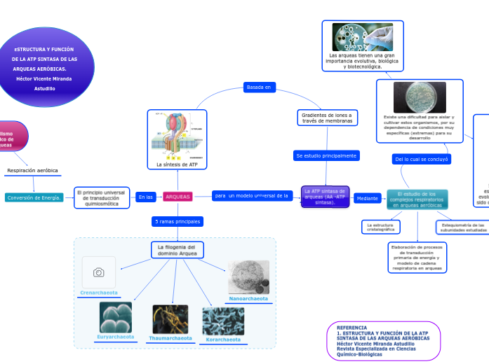 ESTRUCTURA Y FUNCIÓN DE LA ATP SINTASA DE ...- Mind Map